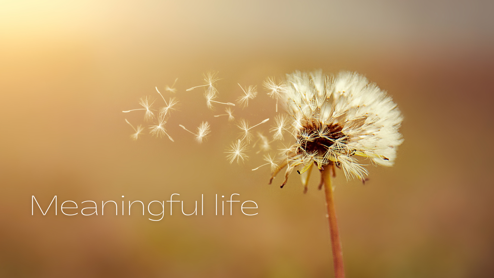 How to live a meaningful life